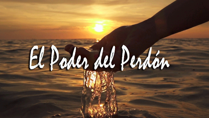 Reflexión Profunda sobre el Poder del Perdón - Destaca2